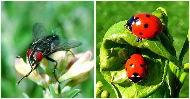 21 Easy DIY Outdoor Water Fountain Ideas