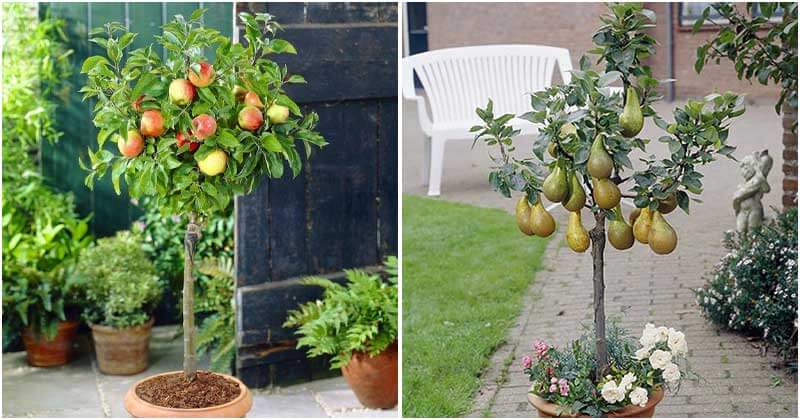 30 Easy-to-make DIY Garden Decoration Ideas