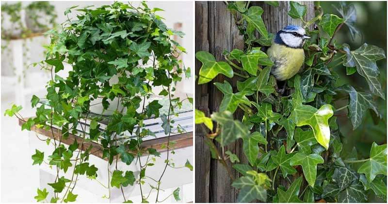 30 Creative And Easy Garden Decor Ideas