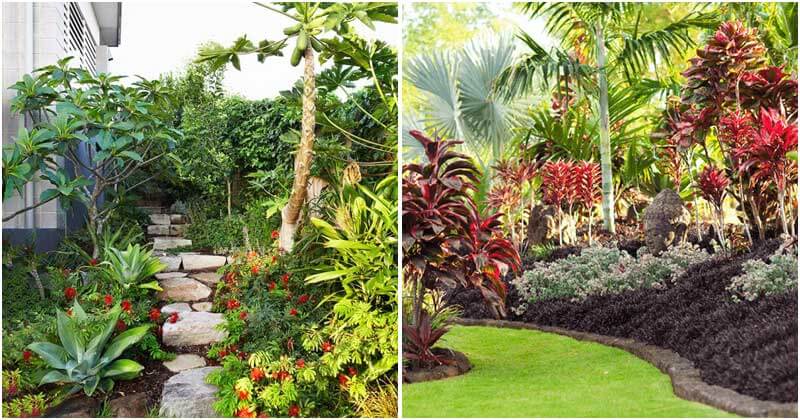 10 Houseplants That Displays The Beautiful Shiny Leaves