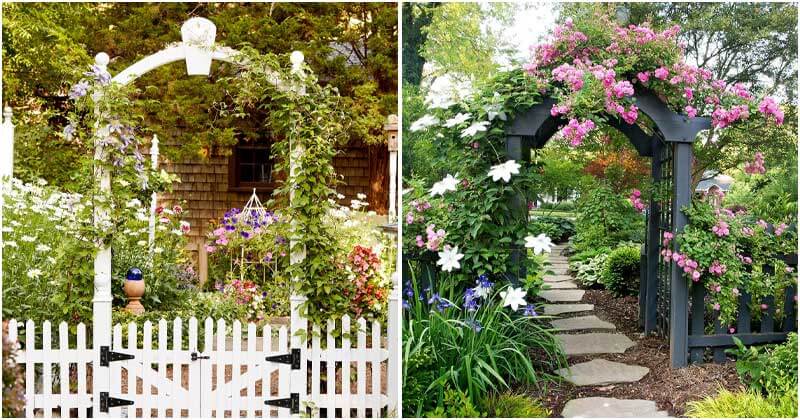 21 Beautiful Garden Trellis Ideas To Spruce Up Your Outdoor Space
