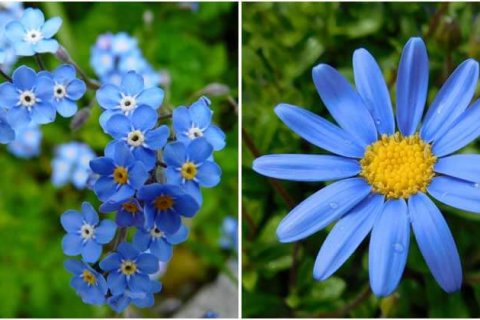 24 Amazing DIY Garden Focal Point Ideas From Old Items