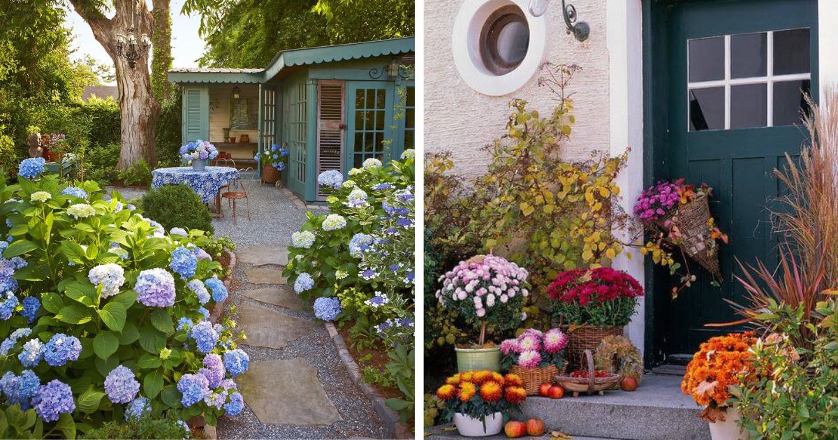 15 Beautiful Front Door Plants That Make Every Welcome Feel Special