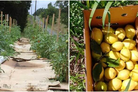 37 Brilliant Ways to Upcycle Old CDs Instead of Tossing Them