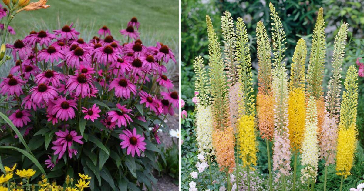 15 Best Plants That Grow Well In Poor Soil