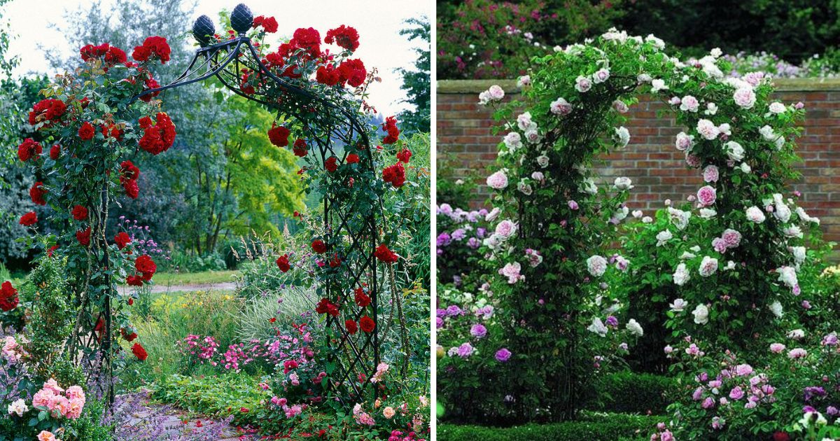 16 Charming Garden Gates Covered In Flowers