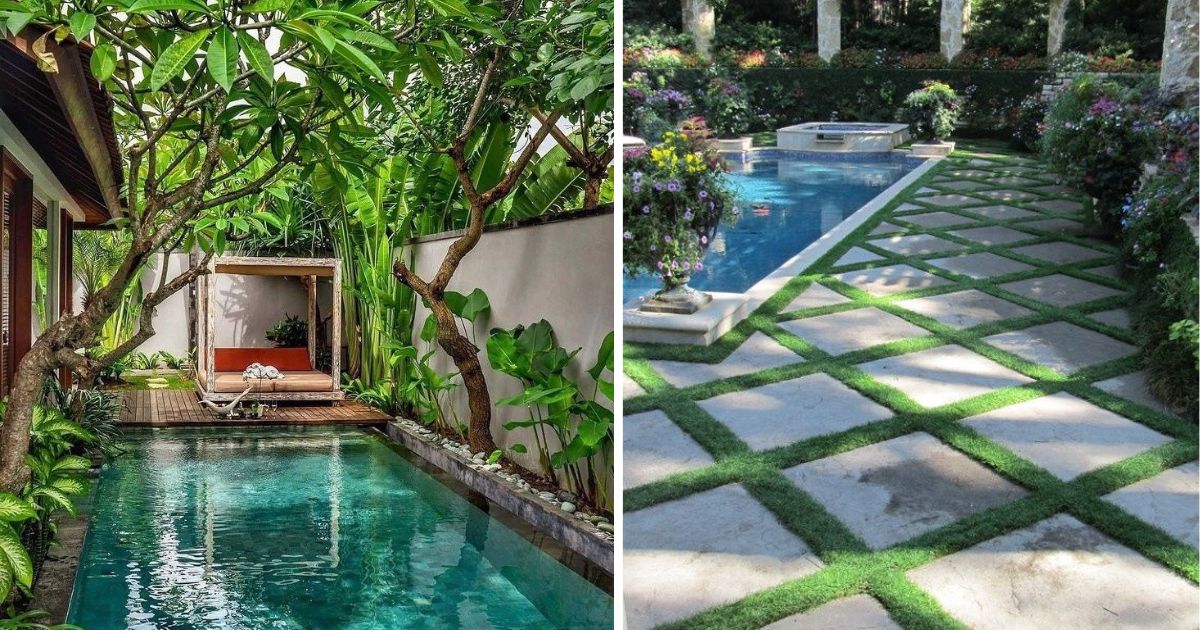 Butterfly Pea Flower: A Natural Wonder with 7 Incredible Health Benefits