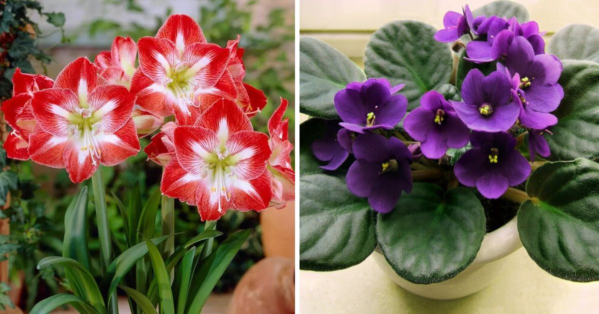 43 Homemade Garden Signs For Your Garden