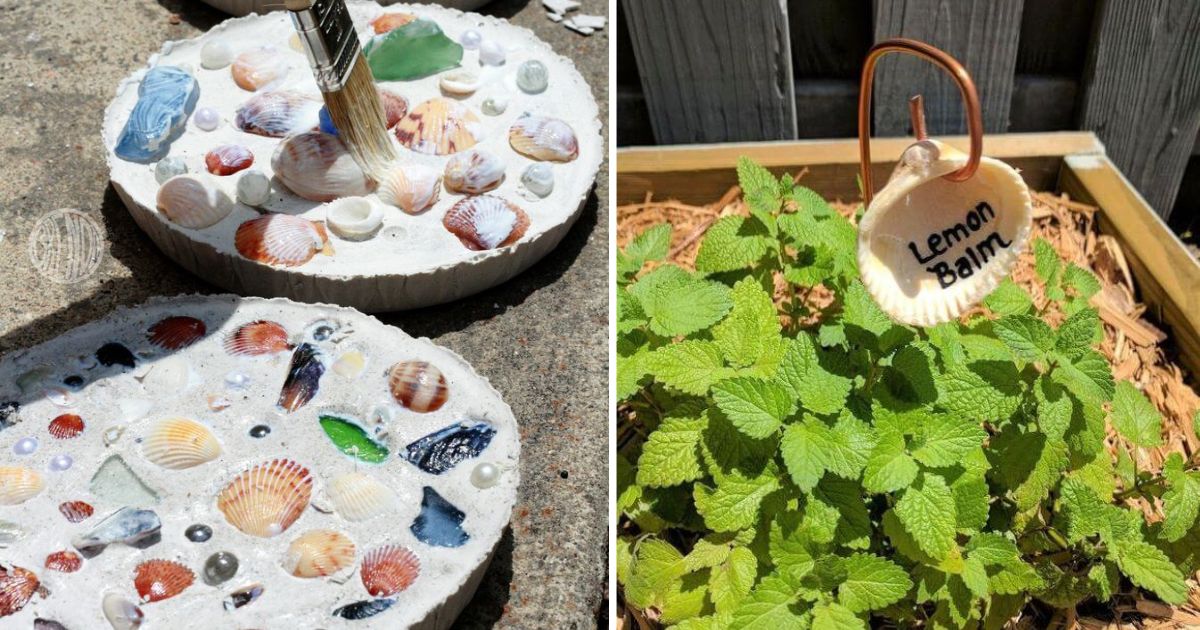 30 DIY Seashell Crafts That Bring The Spirit Of Summer To Life