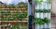17 Edible Living Wall Ideas To Make The Most Of Space