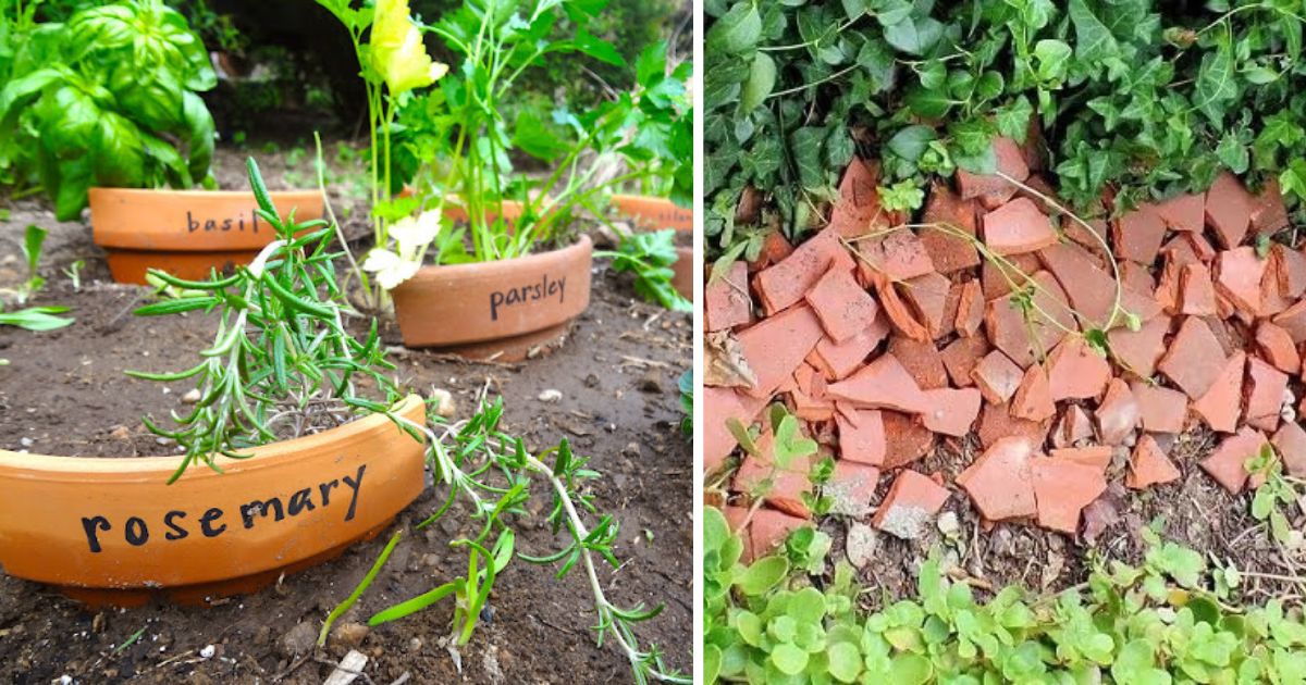 8 Brilliant Ways to Repurpose Broken Pots Into Charming Garden Decor