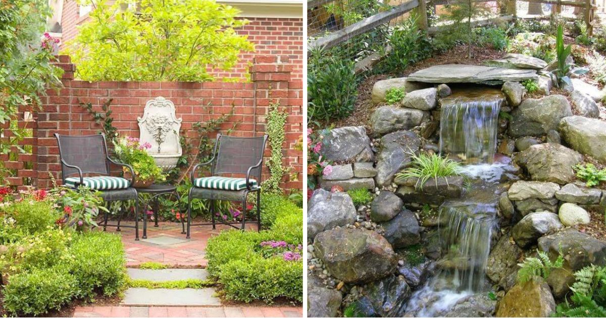 11 Beautiful Vining Plants That Offer Blue Flowers