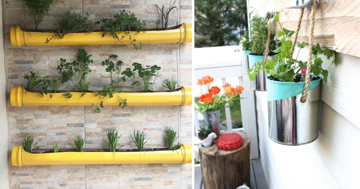 22 Hanging Herb Garden Ideas to Bring Fresh Flavor Into Small Indoor Spaces