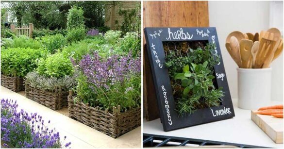 22 Creative Herb Garden Design Ideas
