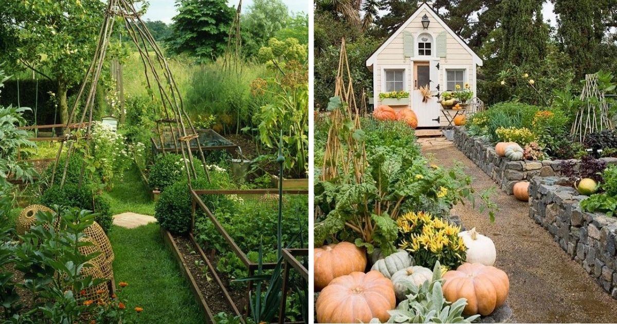 28 Beautiful Backyard Vegetable Garden Ideas to Inspire Your Next Project