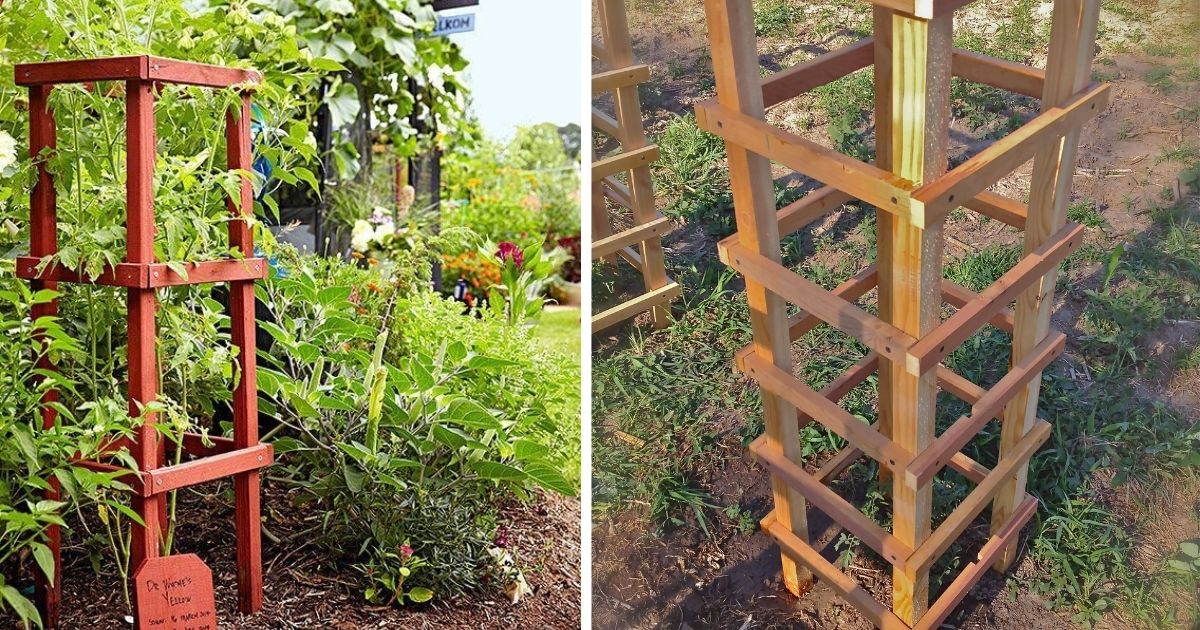 16 Clever DIY Tomato Cage Ideas to Keep Your Plants Strong and Supported