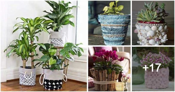 22 Fun And Easy DIY Houseplant Pot Cover Ideas