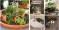 19 Cutest Mini Garden Ideas For Desk