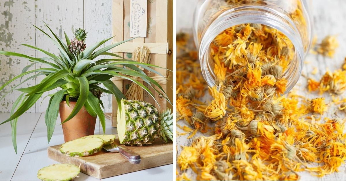 30 Face Planters That Will Make You Smile: From Funny To Fierce