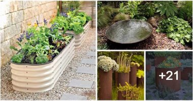 25 Metal Garden Landscaping Ideas