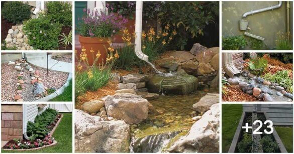29 Inspiring Downspout Landscaping Ideas