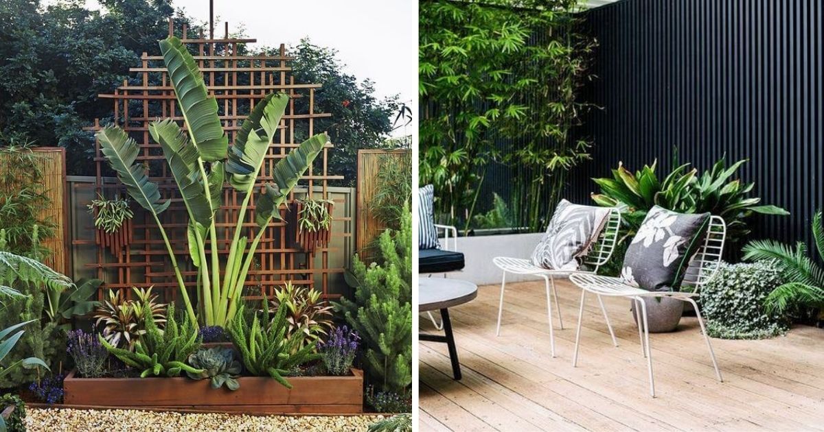 26 Clever Garden Screen Ideas