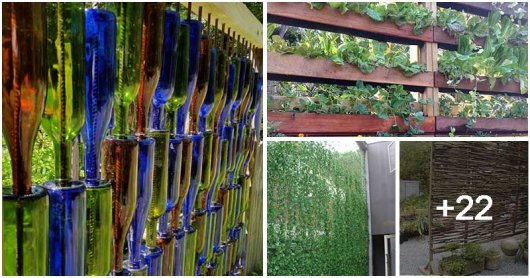 26 Clever Garden Screen Ideas