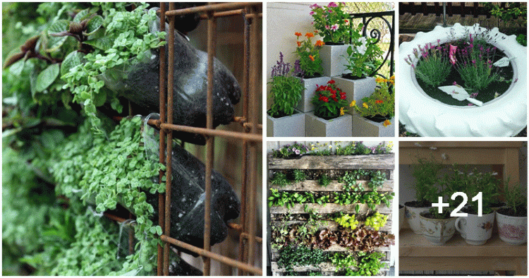 26 Creative Tiny Garden Ideas