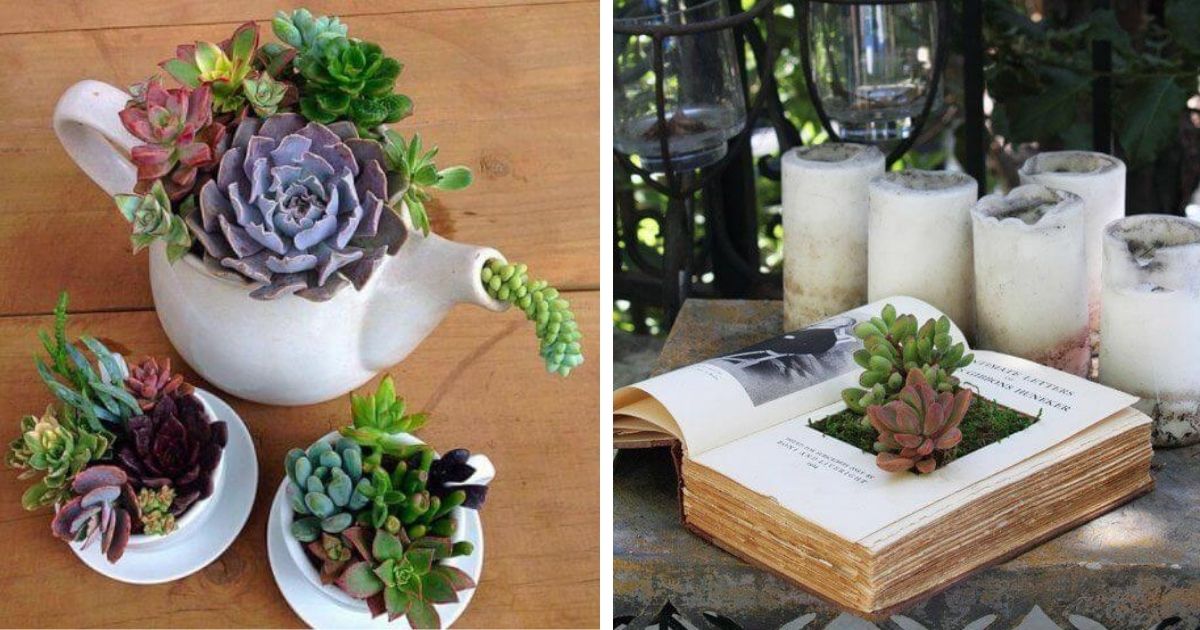 20 Creative DIY Succulent Planter Ideas for Desks and Tabletops