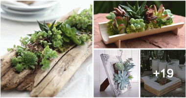 23 Creative DIY Succulent Planter Ideas To Place On Desk And Tabletop