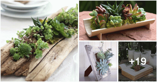 23 Creative DIY Succulent Planter Ideas To Place On Desk And Tabletop