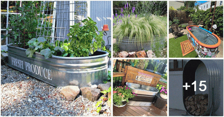 20 Astound DIY Water Trough Projects