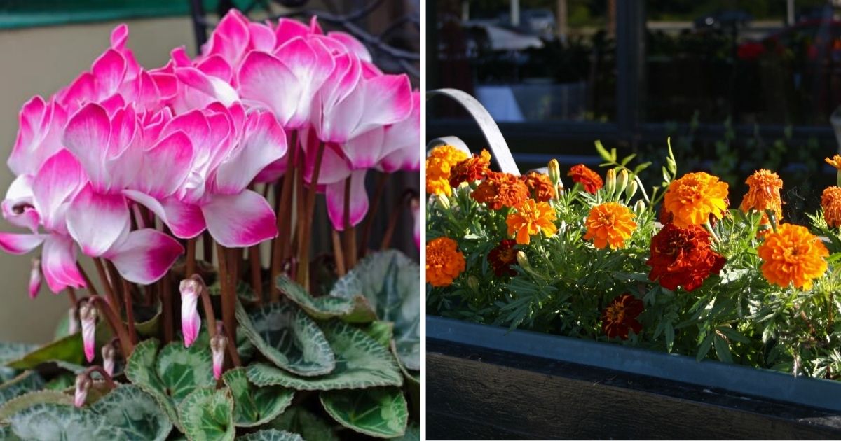 30 Garden Path Ideas Embracing Natural And Recycled Materials