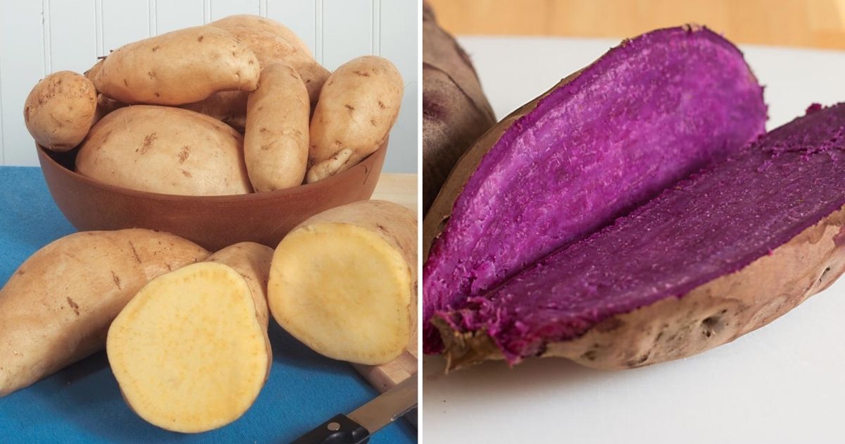 16 Surprising Benefits of Fig Sap: The Natural Remedy You’ve Been ...