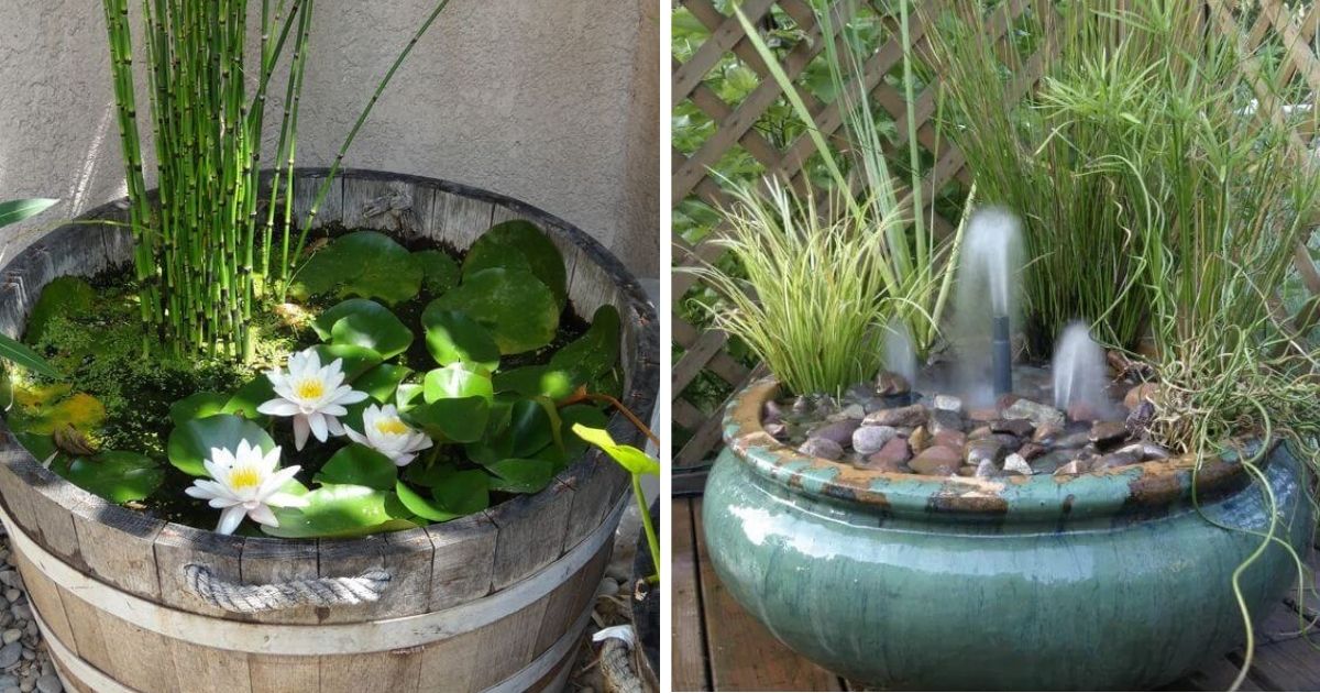20 Easy DIY Backyard Water Pond Containers for Small Outdoor Spaces