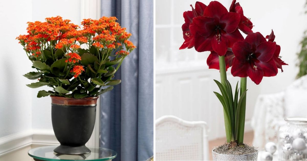 20 Cool DIY Scarecrow Ideas For A Funny Garden Look