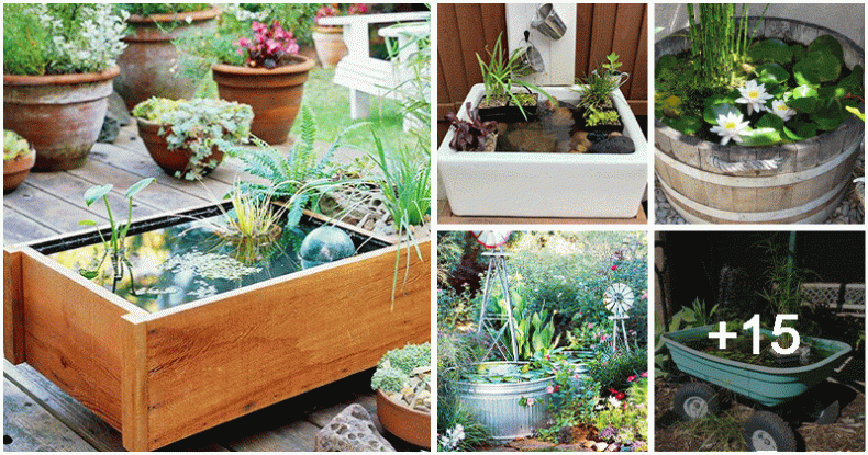 20 DIY Mini Backyard Water Pond Containers