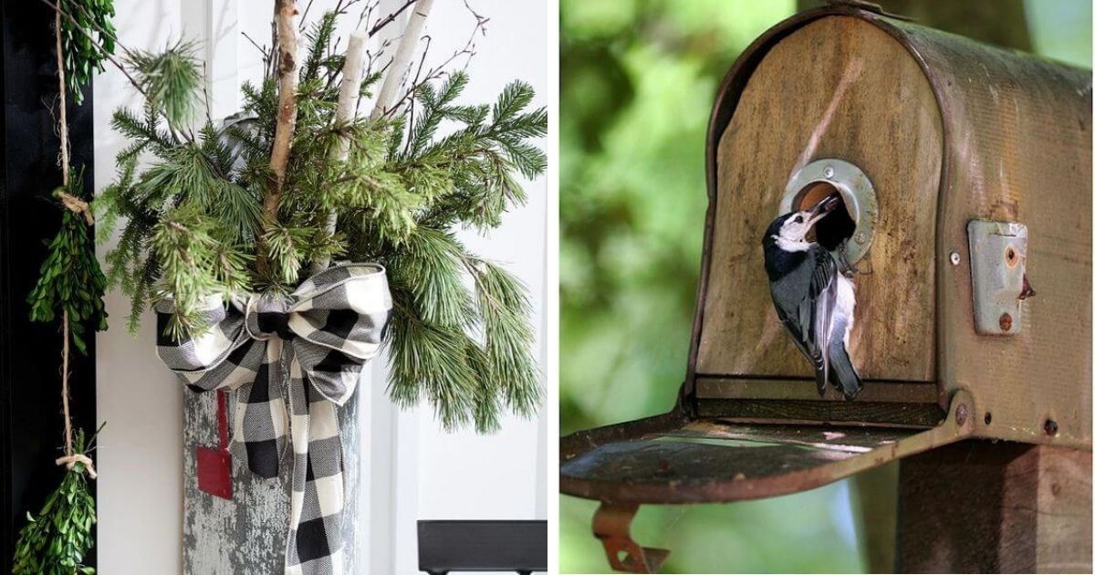 16 Fun Ideas to Transform Unused Mailboxes into Unique Decor