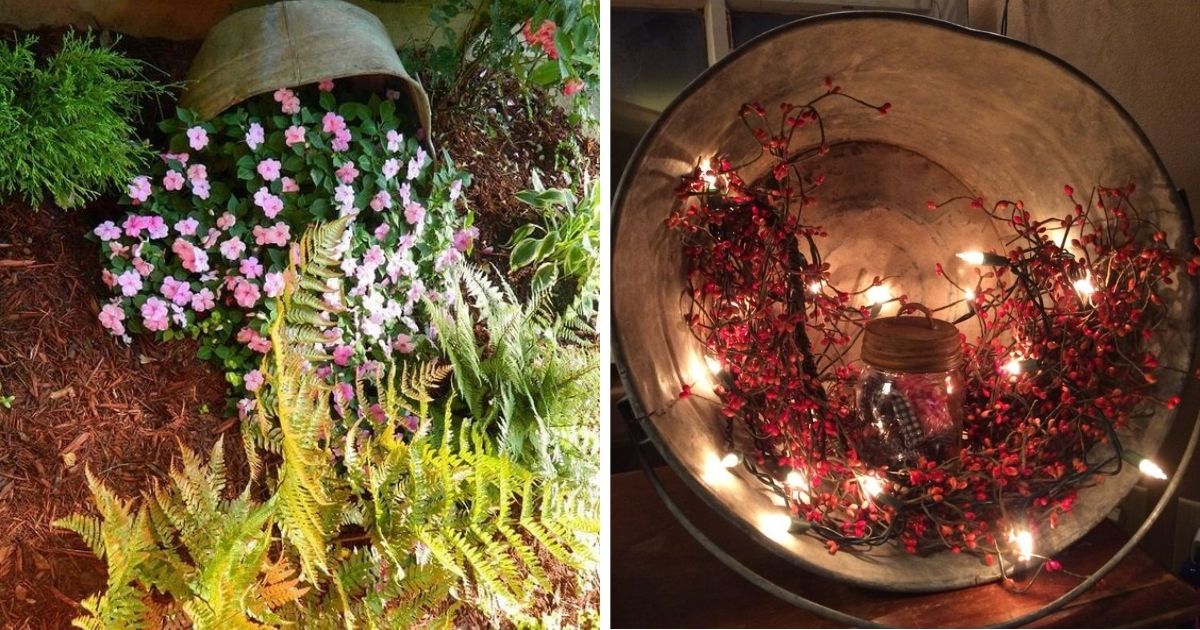 29 Creative Rusty Metal Bucket Ideas That Bring Rustic Charm Anywhere