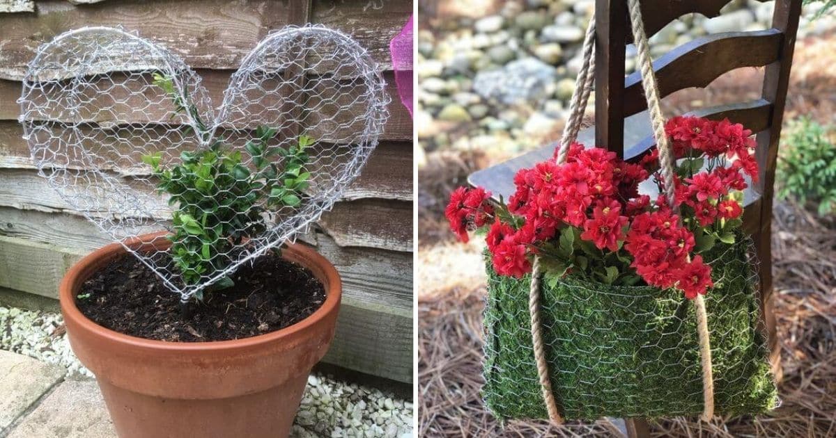 Amazing Benefits of Impepho As A Spiritual And Healing Herb