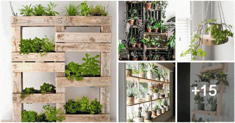 20 Creative Upcycled Plant Shelf Ideas for Green Homes