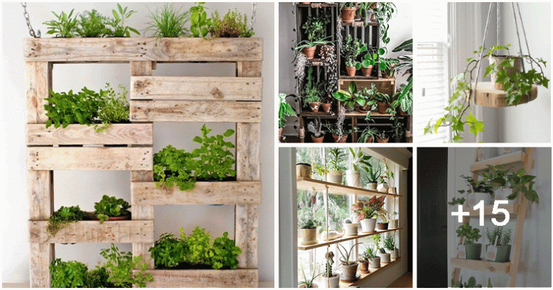 20 Creative Upcycled Plant Shelf Ideas for Green Homes