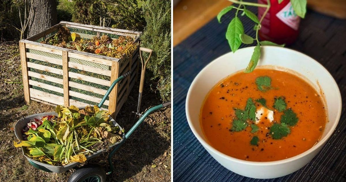 8 Amazing Tomato Leaf Uses You Never Knew About