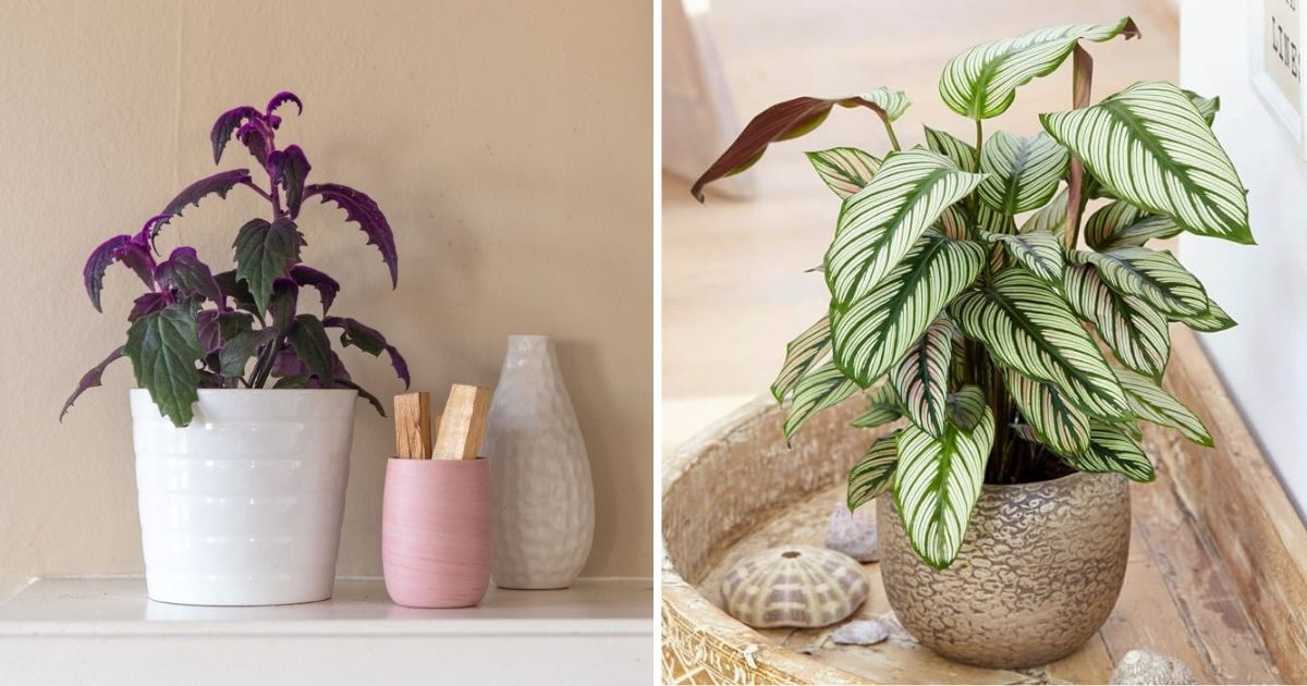 30 Garden Path Ideas Embracing Natural And Recycled Materials