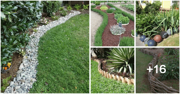 20 Garden Lawn Edging Ideas