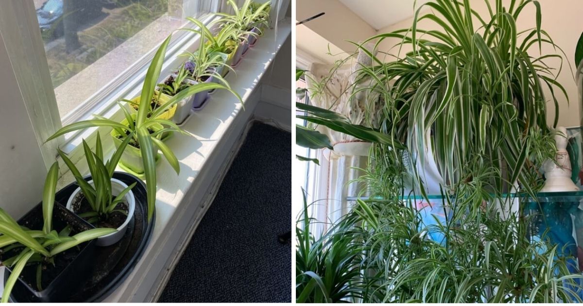 30 Garden Path Ideas Embracing Natural And Recycled Materials