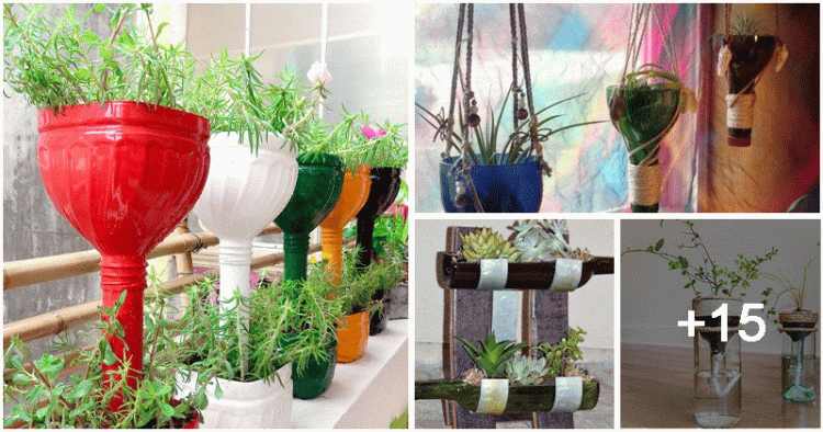 19 Brilliant DIY Bottle Garden Ideas