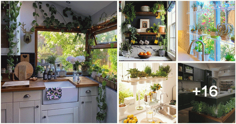 21 Kitchen Room Decorating Ideas With Plants