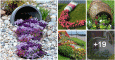 24 Appealing Spilled Flower Pots For Your Yard
