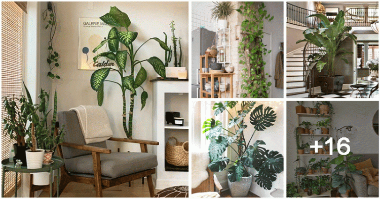 21 Inspiring Indoor Plant Corner Ideas